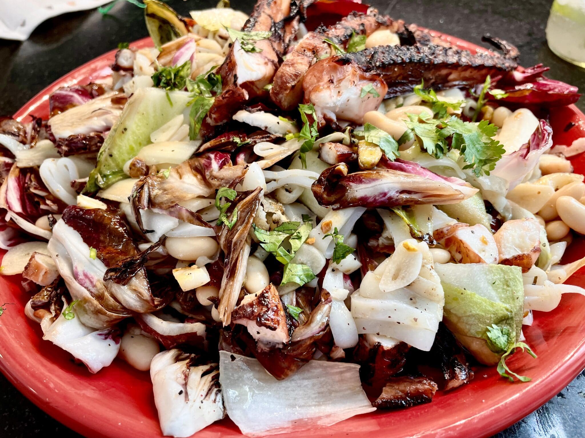 RI Squid Salad with Cannellini, Radicchio, Endive & Pistachio Dressing ...