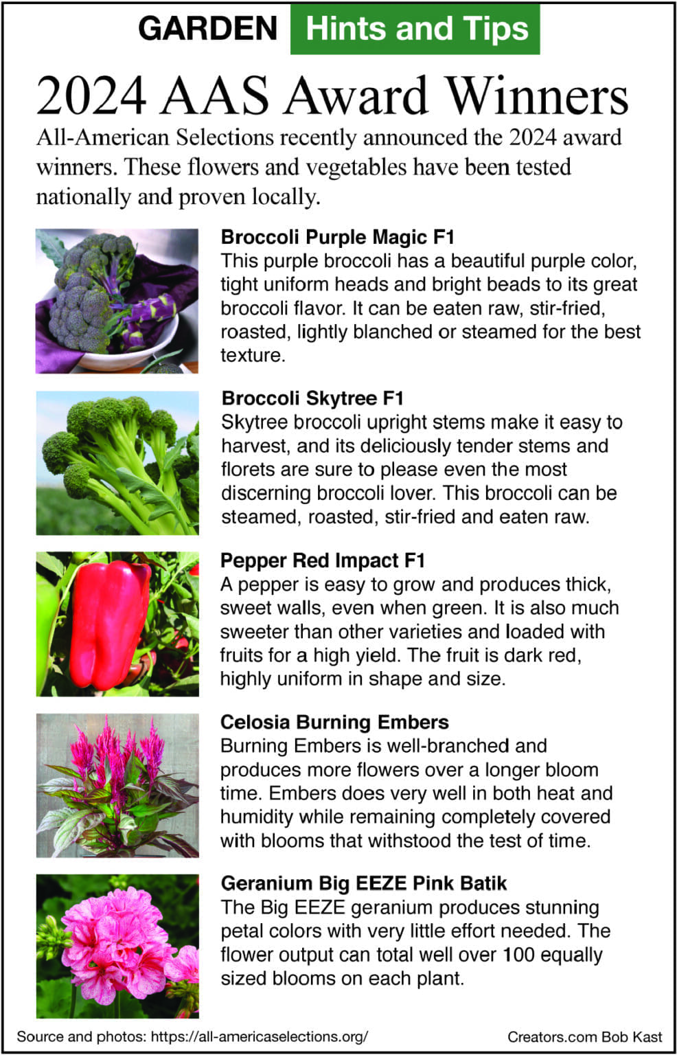 A Greener View: All-America Selections (AAS) 2024 winners, Vegetables ...