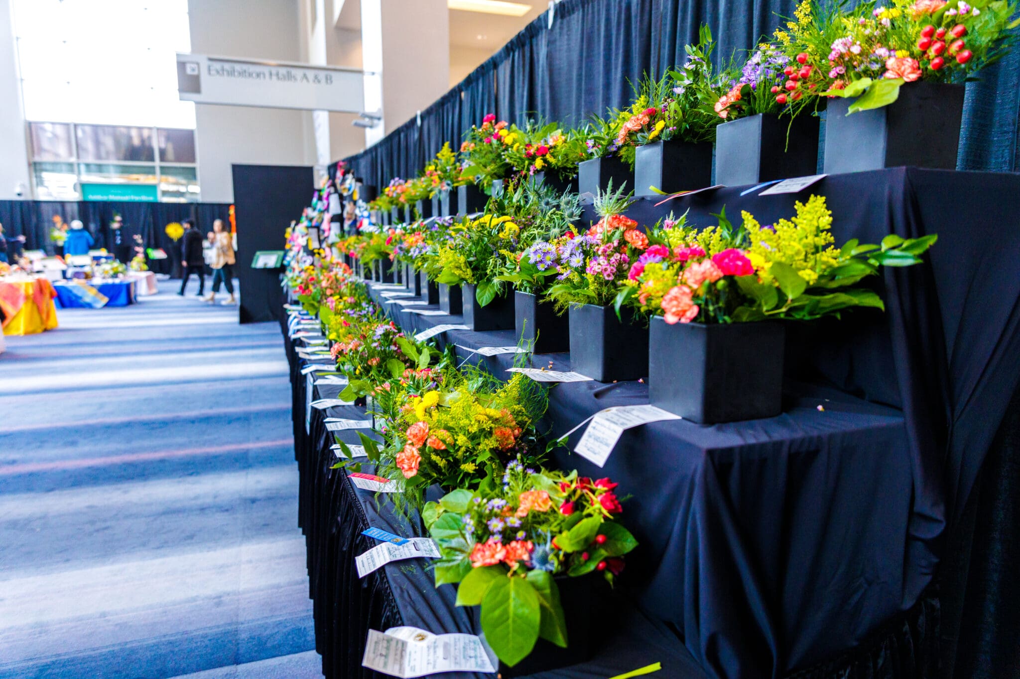 To Do in RI: Ultimate Home and Garden experience at the 75th Annual ...