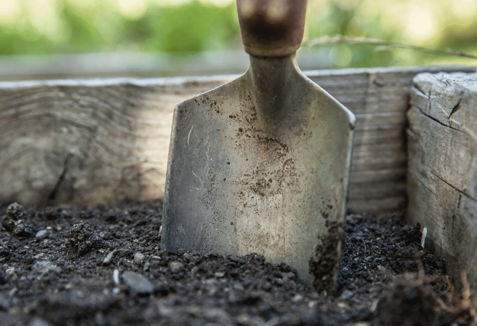 Dig into Gardening, you'll harvest more than zucchinis - Marilynn ...