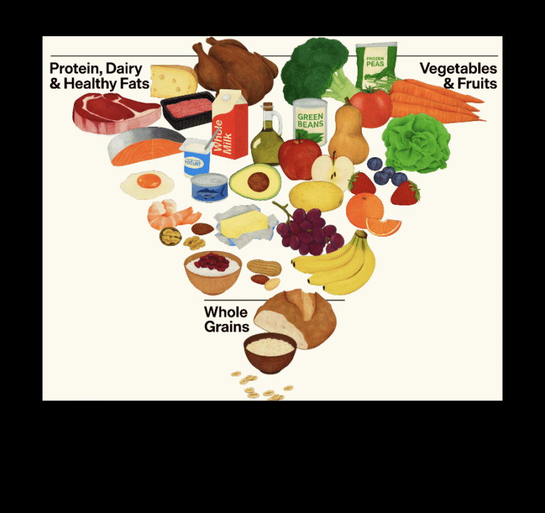 The NEW Food Pyramid is Here - Eat Real Food is a Message Too Long in ...