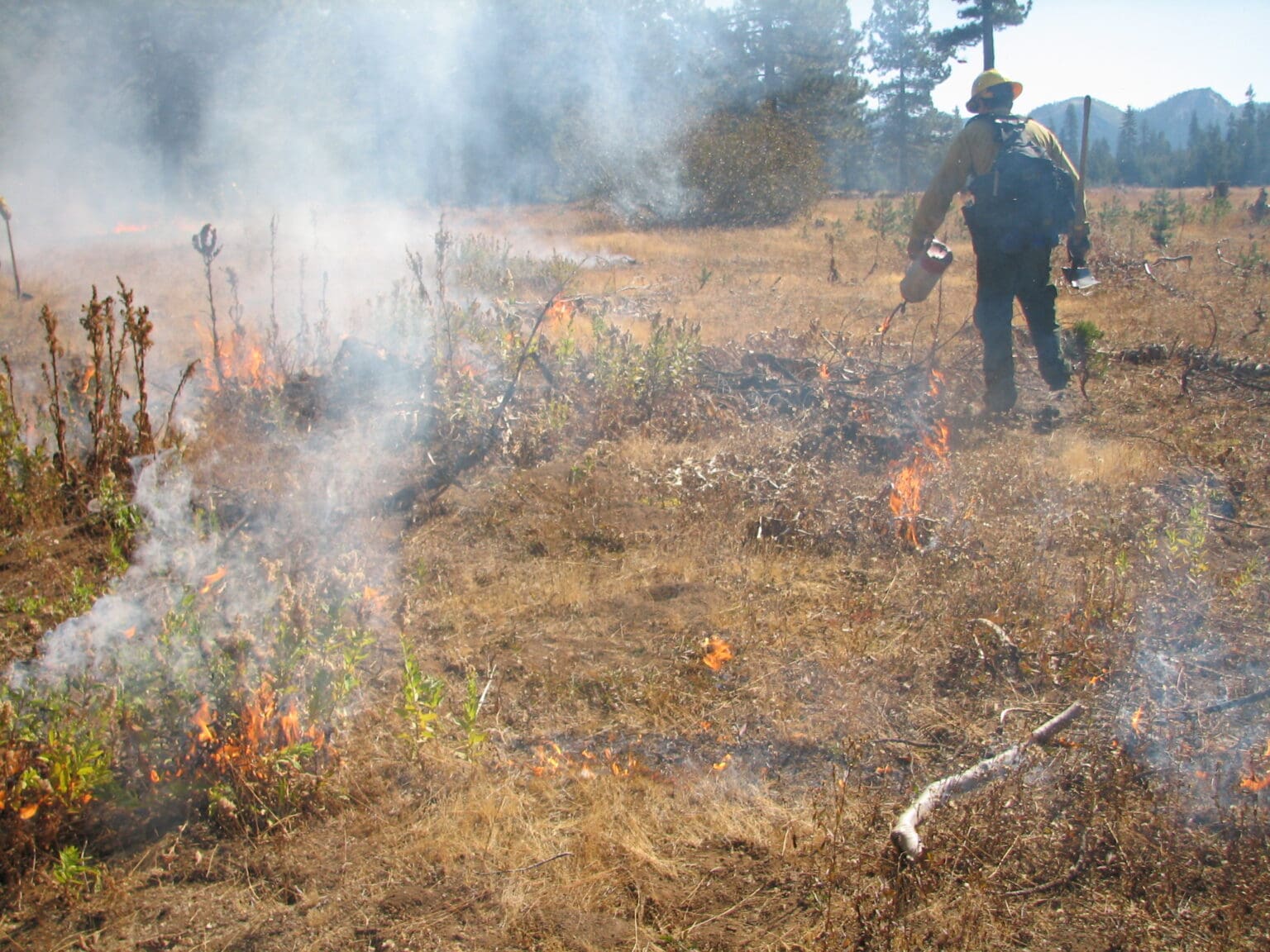 Multiple Wildfire Departments Now Unified under US Wildland Fire Service